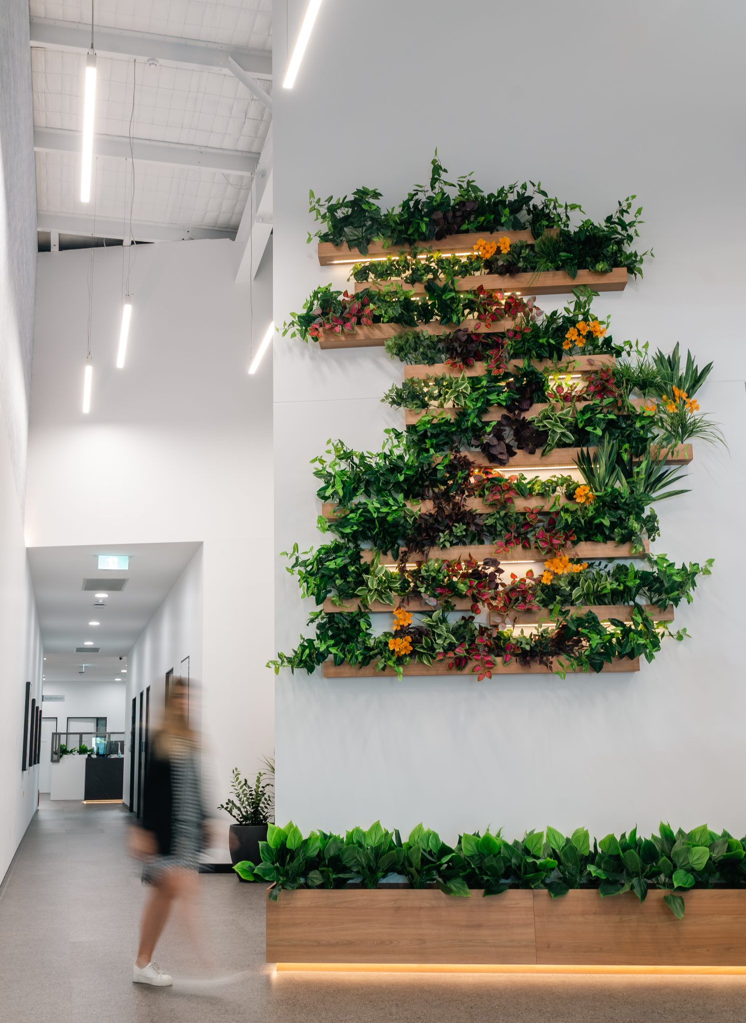Incorporating Plants in Your Healthcare Clinic Fitout - Elite Fitout